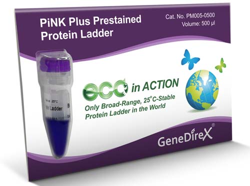 BM - PiNK Plus Prestained Protein Ladder: 試薬 - BIO